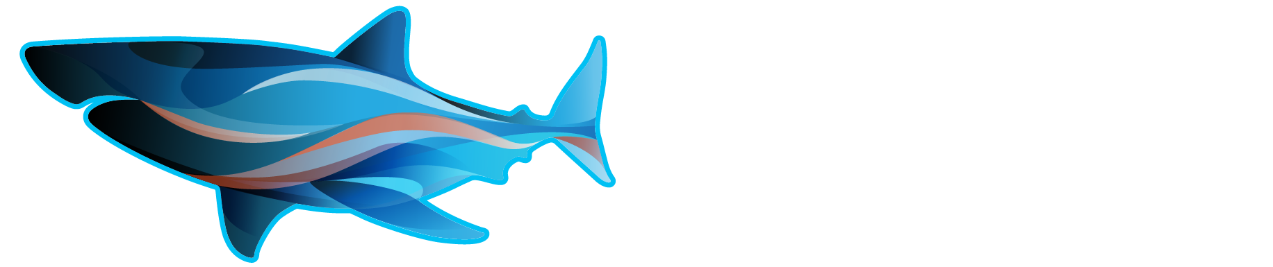 Research – Shark Research Foundation