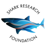 Research – Shark Research Foundation